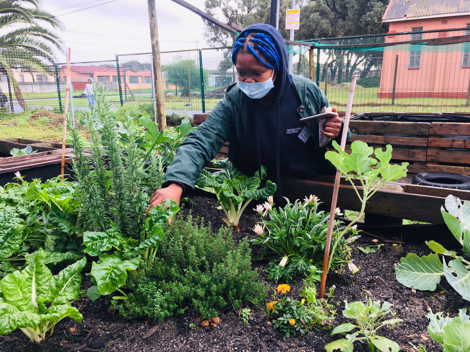 Interview with Chuma Mgcoyi – SA Urban Food & Farming Trust