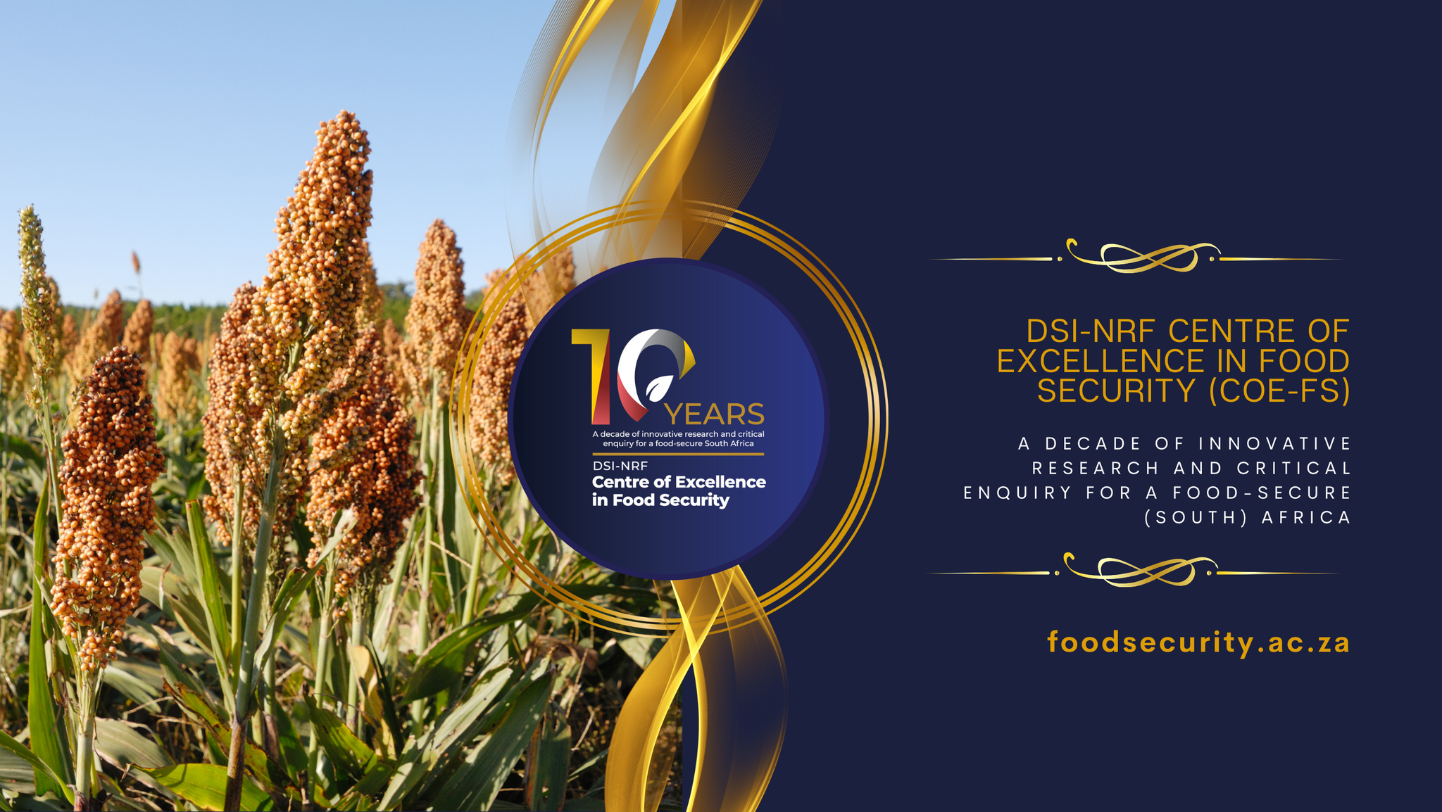 Celebrating 10 years with the DSI-NRF Centre of Excellence in Food ...